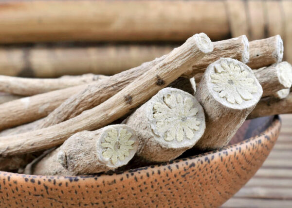 Connect with Your Ancestors through African Dream Root