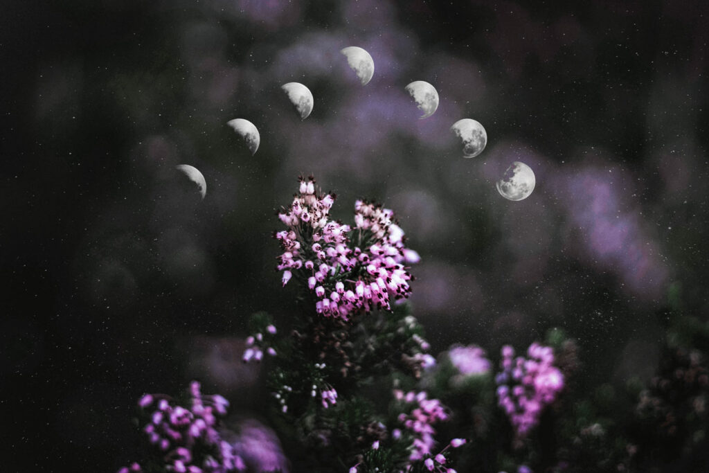 The Ancient Practice of Lunar Gardening | Rewild + Grow